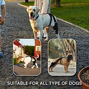 Dog Brace for Acl Tear Back Leg - Hip Dysplasia Brace for Dogs - Dog Hip Brace - Acl Brace for Dogs - Knee Brace for Dogs with Torn Acl - Dog Acl Knee Brace - Dog Acl Brace Hind Leg - Dog Acl Brace -S
