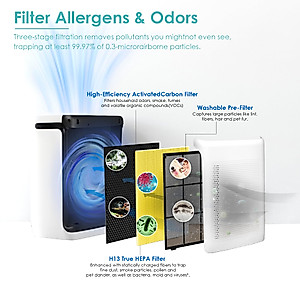 Flintar Vital 100S Pet Allergy Replacement Filter, Compatible with LEVOIT Vital 100S Air Purifier, H13 True HEPA + Activated Carbon Replacement filter, Part # Vital 100S-RF-PA, 2-Pack