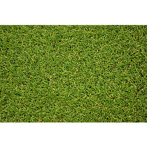 Garland Rug Puppy Pee Pad Artificial Grass Turf Rug, 24 in x 48 in, Green