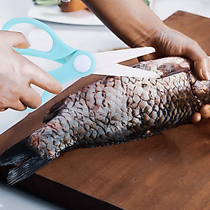 Portable Food Ceramic Shears for Kitchen Classroom Craft Pet Hair Pizza Vegetable Cutting Chopping Tool with Cover Sky Blue