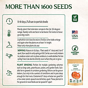 Yellow Sweet Spanish Onion Seeds for Planting Indoors and Outdoors - 1600+ Non GMO Seeds Per Packet - 100% USA Grown - Heirloom Seeds for Home Vegetable Garden