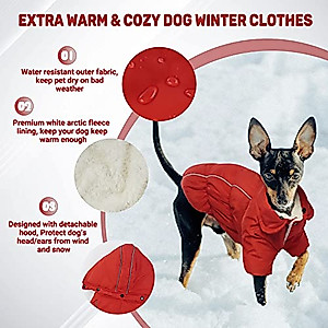 T'CHAQUE Waterproof Winter Dog Fleece Coat Warm Puppy Jackets with Detachable Hood, Windproof Reflective Dog Cold Weather Coats with Leash Hole, Outdoor Play Pet Clothing for Small Medium Dogs