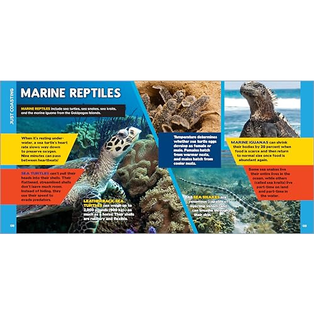 The Fascinating Facts Books for Kids 3 Book Box Set: 1,500 Incredible Facts about Animals, Oceans, and Science for Kids Ages 9-12