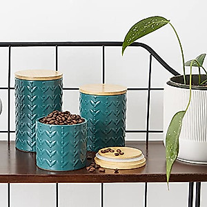 DII Kitchen Accessories Collection, Textured Matte Ceramic Canister Set, Teal, Vine, 3 Piece