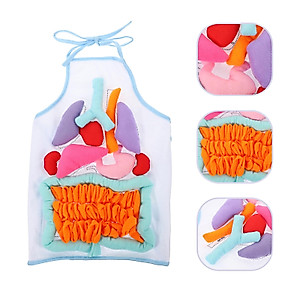 NUOBESTY 3D Apron Anatomy Apron Human Body Organs Awareness Educational Tool for Home Preschool Teaching Aid 64cm Educational