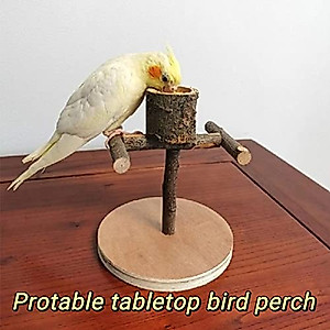 XLpeixin Bird Playground Parrot Playstand Birds Play Stand Wood Exercise Perch Gym Stand Hanging Swing Toys for Small Medium Parakeets Canaries Cockatiels Lovebirds and More…