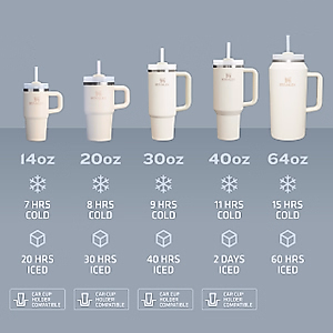 Stanley Quencher H2.0 Tumbler with Handle and Straw 40 oz | Flowstate 3-Position Lid | Cup Holder Compatible for Travel | Insulated Stainless Steel Cup | BPA-Free | Glacier