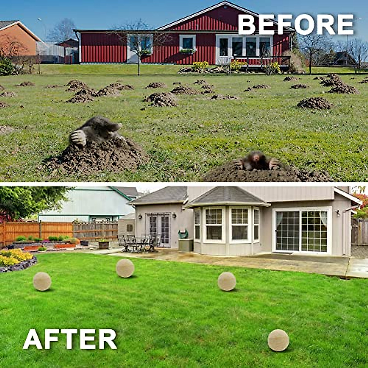 Pufado Mole Repellent, Vole Repellent Outdoor, Gopher Repellent, Mole Repellant for Lawn, Mole Deterrent for Yard, Mole Control, Keep Mole and Vole Out of Your Garden, Safe Around Pet & Plant -4 Packs