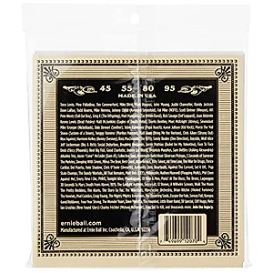 Ernie Ball Earthwood Slinky Phosphor Bronze Acoustic Bass Guitar Strings, 45-95 Gauge (P02070)