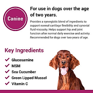 Vet Classics Joint Support Plus Dog Supplement - Hip Health Supplement for Dogs – Alleviates Aches and Discomfort - For Flexibility, Healthy Joint Function in Canines – Antioxidants – 120 Soft Chews