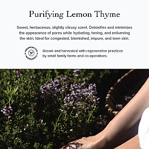 evanhealy Lemon Thyme HydroSoul | Copper Distilled Hydrosol | Purifying Facial Tonic | Organic Plant Face Toner | Purify & Decongest Blemished, Congested, Teen Skin