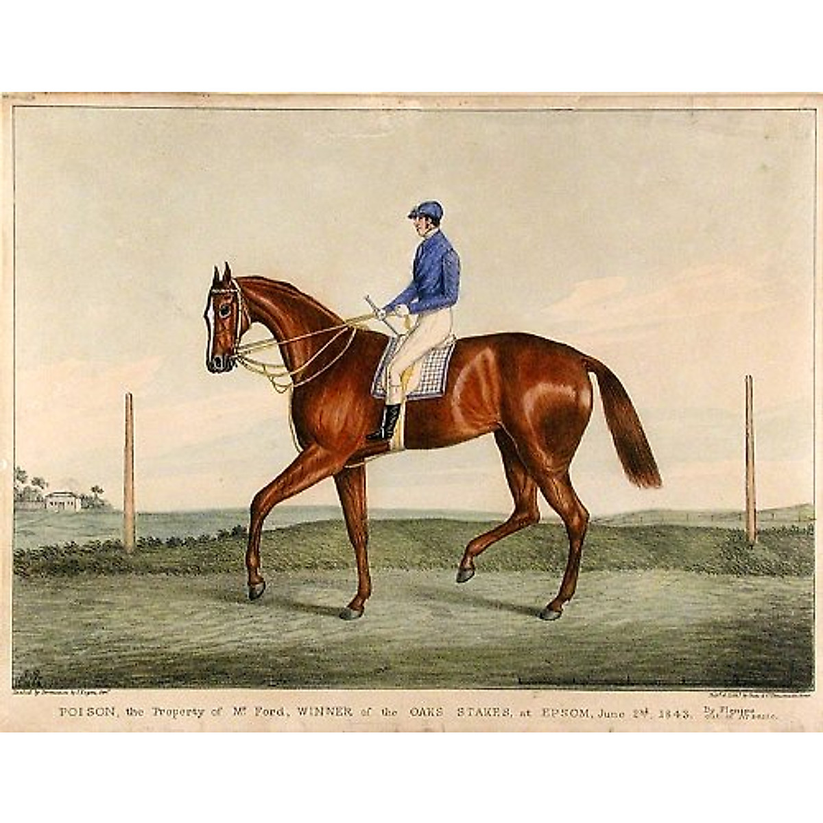 Poison, the Property of Mr. Ford, Winner of the Oaks Stakes, at Epsom, June 2nd. 1843. By Plenipo out of Arsenic