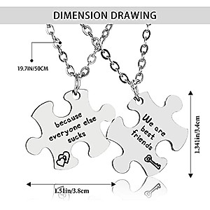 MJartoria Best Friend Necklaces, Friendship Necklace Puzzle Piece Necklaces Set Gifts for Women Teens BFF Necklace for 2 (we are best friend because everyone else ...)