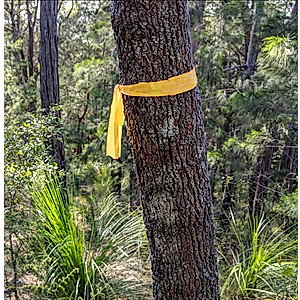 Brady 58353 Fluorescent Green Flagging Tape for Boundaries and Hazardous Areas - Non-Adhesive Tape, 1.188" Width, 150' Length (Pack of 1)