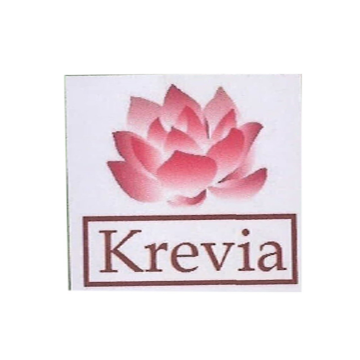 Magic Bax Earring Lifters - 2 Pairs of Adjustable Hypoallergenic Earring Lifts (1 Pair of Sterling Silver Plated and 1 Pair of 18K Gold Plated) As Seen on TV