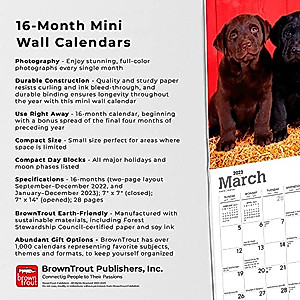 Lab Puppies | 2023 7 x 14 Inch Monthly Mini Wall Calendar | BrownTrout | Animals Dog Breeds Puppy DogDays