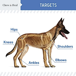 Chew + Heal Labs Liquid Glucosamine for Dogs Hip and Joint Supplement - 16 oz Bacon Flavored Advanced Mobility Support - Made with Glucosamine, Chondroitin, MSM, Turmeric, and Green Lipped Mussel