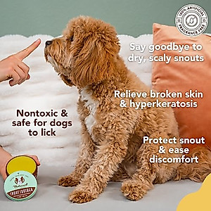 Natural Dog Company Snout Soother Dog Nose Balm, 1 oz. Tin, Dog Balm for Paws and Nose, Moisturizes & Soothes Dry Cracked Noses, Plant Based Nose Cream for Dogs