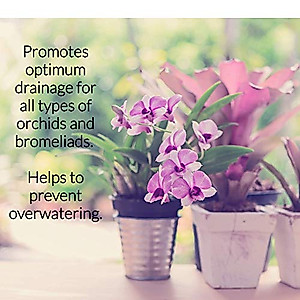 Orchid Soil Premium All Purpose Blend | Large 2.2 Quarts | Ready to Use for Orchids, Bromeliads, Epiphytic Plants | Lava, Calcined Clay and Pinebark | Made in USA