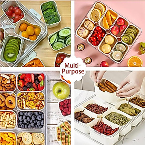 KocelFir Snack Box Container, Divided Serving Tray with Lid and Handle Snackle Box Container, Snack Organizer for Adults Fruit Tray, Veggie Tray, Perfect for Party, Entertaining