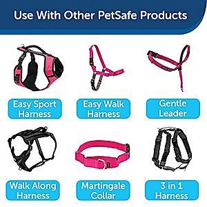 PetSafe Nylon Dog Leash - Strong, Durable, Traditional Style Leash with Easy to Use Bolt Snap - 3/4 in. x 6 ft, Raspberry Pink