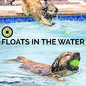 Hyper Pet DuraSqueak Dog Ball Dog Toys (Interactive Dog Toys that Float&Squeak) Squeaky Dog Toys&Dog Balls for Playing,Fetching&Retrieving-Great Alternative to Traditional Tennis Balls Green 2.5 Inch