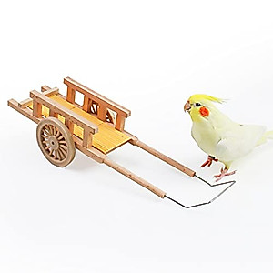 YANQIN Parrot Toy Bird Intelligence Skill Training Slide Toy Parrot Educational Toys for Conures Parakeets Cockatiels