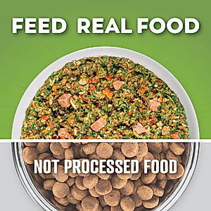 Dr. Harvey's Beef & Garden Veggies Dog Food, Human Grade Whole-Grain Dehydrated Dog Food with Freeze-Dried Beef (5.5 Ounces, Trial Size)