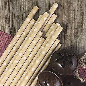 Kraft Brown Paper Straws - Polka Dot Drinking Straws - 7.75 Inches - 50 Pack Outside the Box Papers Brand