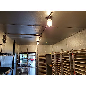 OCS Parts Clear Coated Glass Globe Replacement for Commercial Walk-in Refrigerators, Freezers, and Coolers (2 Globes)