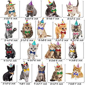 20Pcs Cat Hanging Swirls Decorations Cat Kitten Birthday Party Decorations Baby Cat Swirl Decorations for Cat Lover Kids Pet Cat Theme Birthday Party Pet Adoption Party Supplies