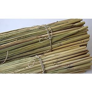 Craft Broom Corn with Stalks 24-36" Length…