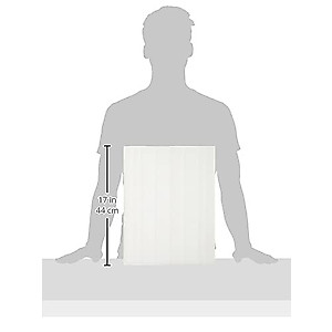 Fellowes AeraMax 290/300/DX95 Purifiers True HEPA Air Filter, 16.3" x 12.6" x 1.2", White, 9287201