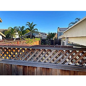 LESES Bird Spike Pigeons Spikes Raccoon Spikes Cat Spikes Outdoor Plastic Security Fence Spikes of 12 Pack [16.5 FT]