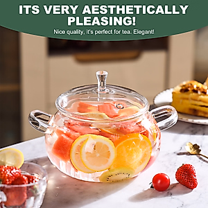 Glass Cooking Pot,83oz/2500ml Clear Glass Pots for Cooking on Stove with Lid, Large Glass Saucepan Cookware Set for Pasta Noodle, Soup, Milk, Baby Food