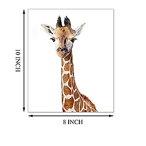 Set of 6 Baby Safari Nursery Wall Decor - Picture Cute Animal Wall Prints on Canvas, under 20 dollars gifts for Baby Boys and Girls Room, UNFRAMED Wall Art(8 x 10 inch)