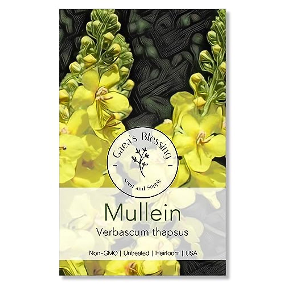 Gaea's Blessing Seeds - Mullein Seeds - Non-GMO Herb Seeds with Easy to Follow Instructions, Heirloom, Open-Pollinated, Untreated