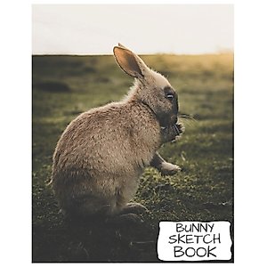 Bunny Sketchbook: Cute Sketchbook for Adults/Children Animals Lovers to Sketching, Large (8.5x11x Inch. 21.59x27.94 cm.) 120 Blank Pages (WHITE&BLACK&GREEN&YELLOW Pattern)