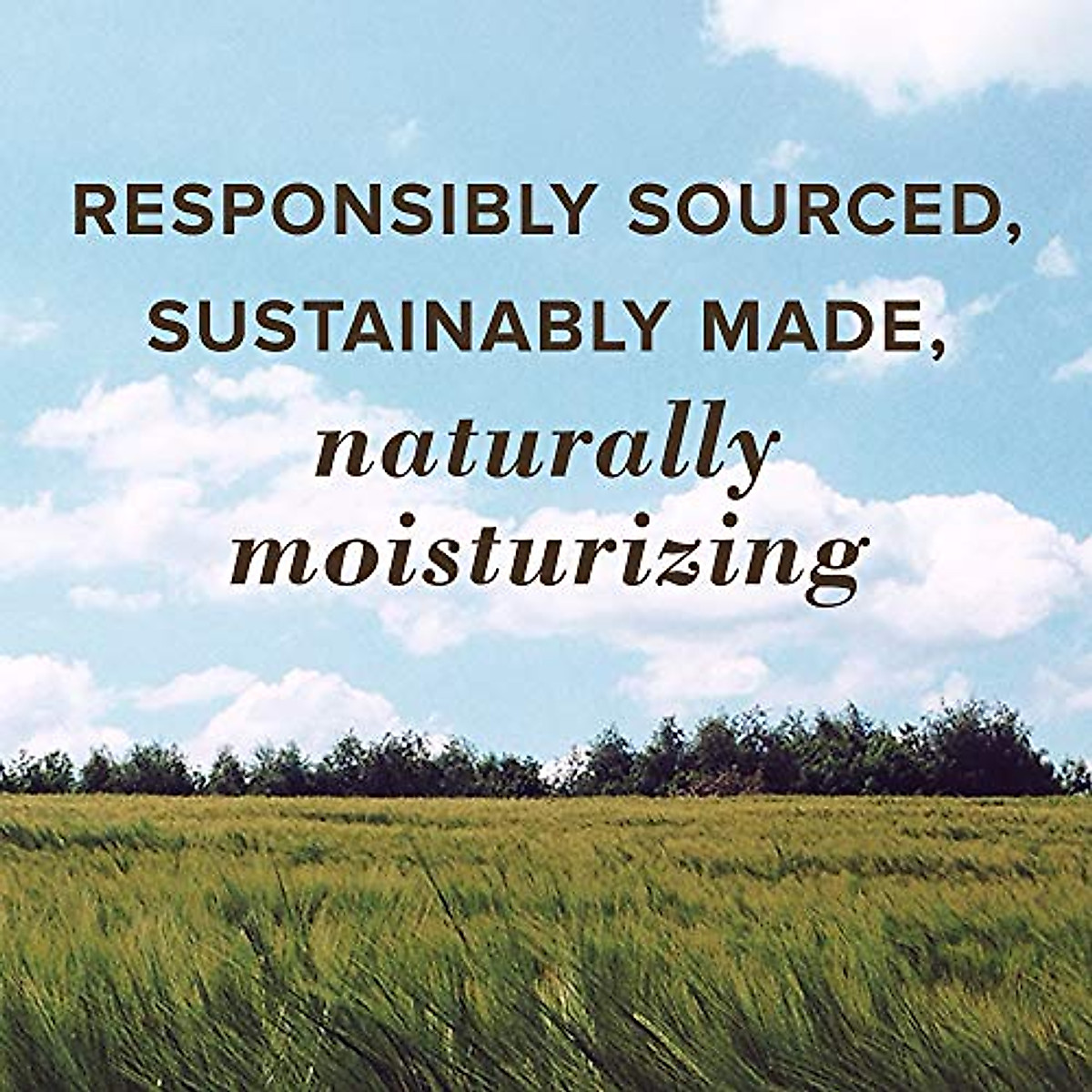 Burt's Bees Lip Balm Easter Basket Stuffers, Moisturizing Lip Care Spring Gift, for All Day Hydration, 100% Natural, Ultra Conditioning with Shea, Cocoa & Kokum Butter (2 Pack)