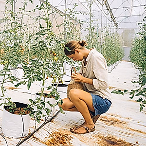 120 Pack Tomato Clips for String Plant Clips for Climbing Plants Supports Clips Garden Supplies Tomato Ties Plastic Tomato Plant Support Vegetables to Grow Upright Healthier