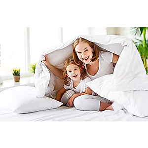 Elegant Comfort ® 1500 Thread Count Egyptian Quality Super Soft WRINKLE FREE & WRINKLE RESISTANT 4 pc Sheet Set, Deep Pocket Up to 18" - All Size and Colors, Queen Beige