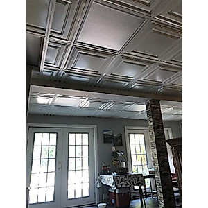 From Plain To Beautiful In Hours 232 Economy PVC Lay-in Ceiling Tile 2 ft. x 2 ft., White, 10 Pack
