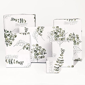 CENTRAL 23 Pretty Wrapping Paper (x6) Sheets - Gift Wrap for Her - For Men Women - Eucalyptus Plants - Green White - Recyclable