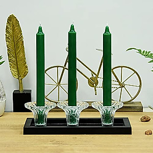 Zest Candle 12-Piece Taper Candles, 10-Inch, Hunter Green Straight