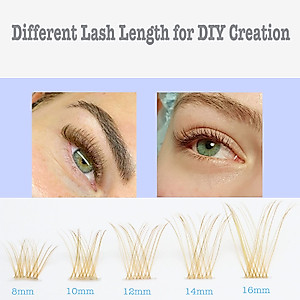 Brown Lash Clusters Blonde Lash Extension 96pcs Light Brown Cluster Lashes D Curl 8-16mm Wispy Individual Lashes With Clear Lash Band Eyelash Extension Clusters By DAODER(Brown Lash Cluster 007)