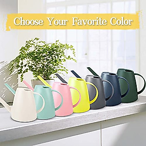 Watering Can for Indoor Plants, Small Watering Cans for House Plant Garden Flower, Long Spout Water Can for Outdoor Watering Plants 1.8L 60oz 1/2 Gallon