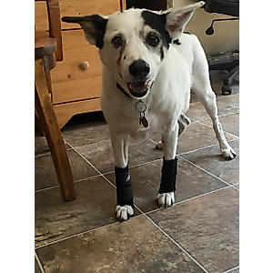 Carpal Wrist Wrap (med/large 4"-6")