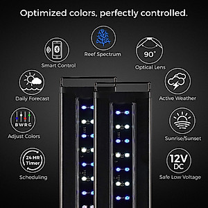 CURRENT USA PRO Dual 36-48" Inch Orbit Marine IC Loop LED Saltwater Reef Marine Aquarium Light with Bluetooth App Control | Wireless Lighting & eFlux Wave Pump Control for Fish Tank (4336)
