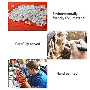 FBITE Anatomy Model, Assembly Educational Model Dog Sick Skin Model Pathological Dog Skin Model Scientific Anatomical Animal Model Educational Teaching Model for Study Display