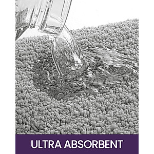 DEXI Bathroom Rug Mat, Extra Soft and Absorbent Bath Rugs, Washable Non-Slip Carpet Mat for Bathroom Floor, Tub, Shower Room, 24"x16", Grey